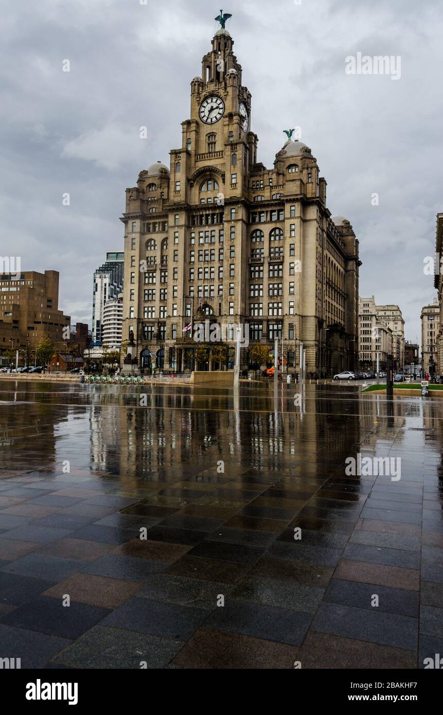 The liver building in the wet Stock Photo - Alamy