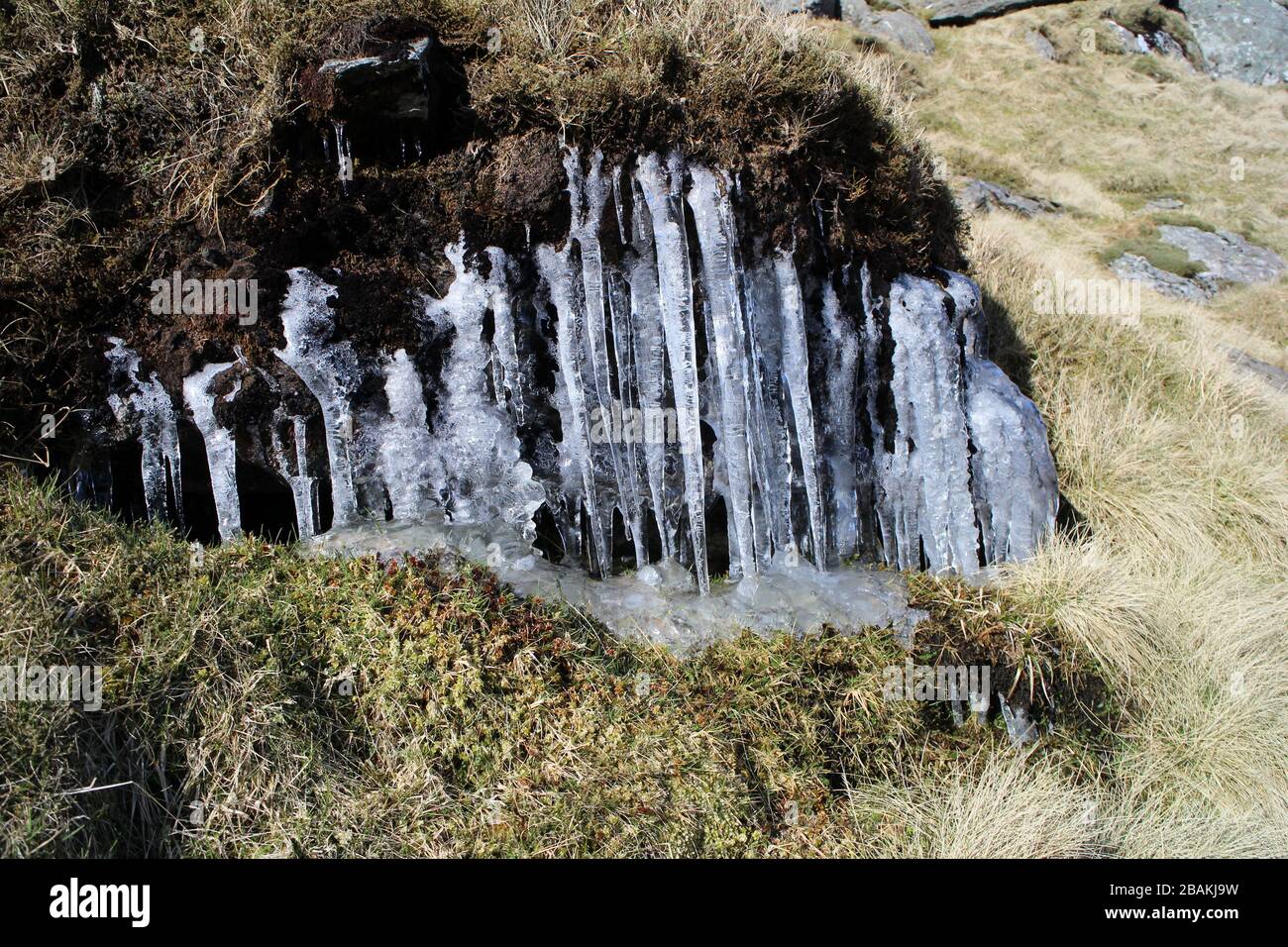 Seniors ridge hi-res stock photography and images - Alamy