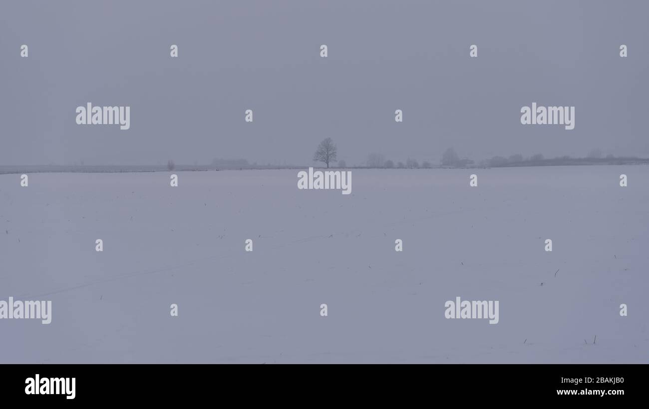 Early morning blizzard in rural Lithuania. Very bad visibility and dark ...