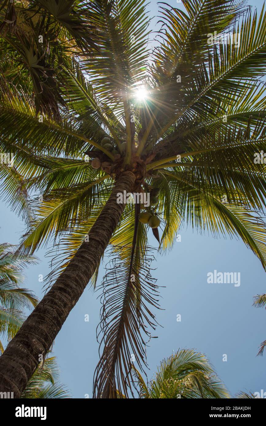 in the shade Stock Photo - Alamy