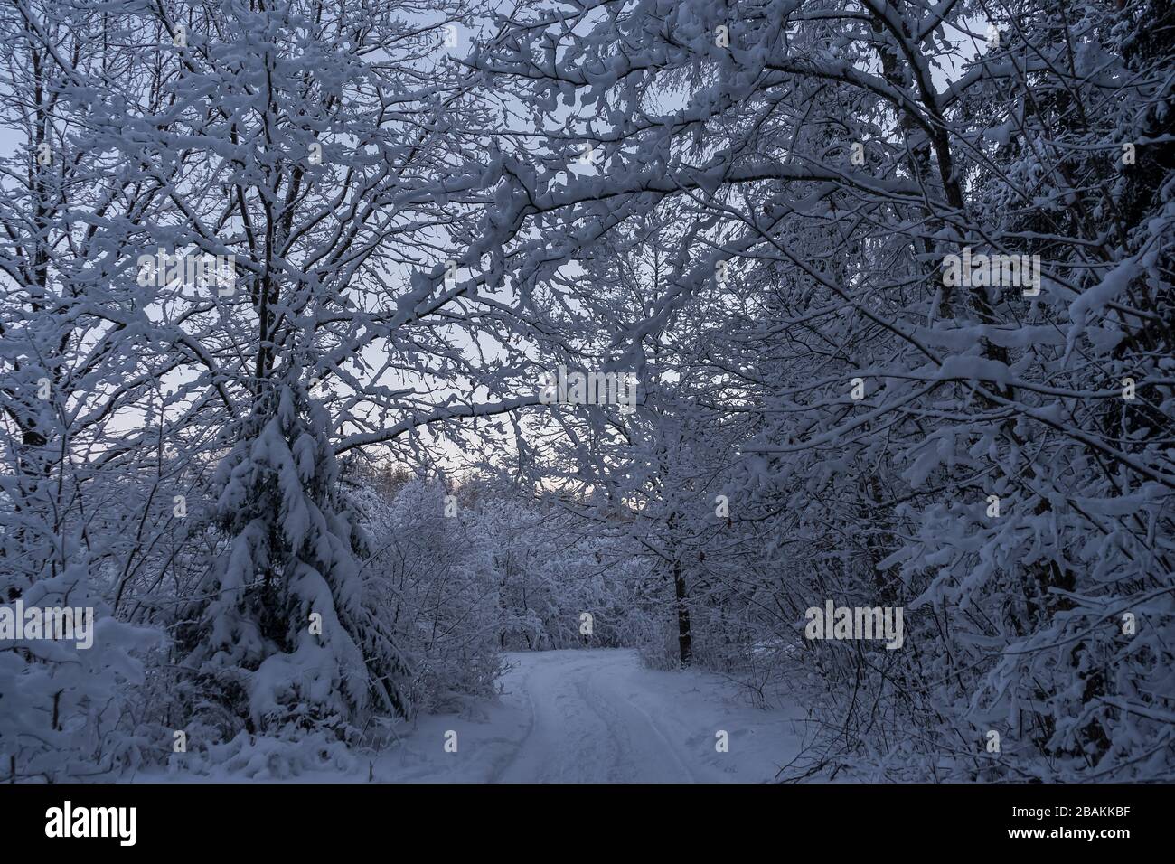 Kurtuvenai hi-res stock photography and images - Alamy