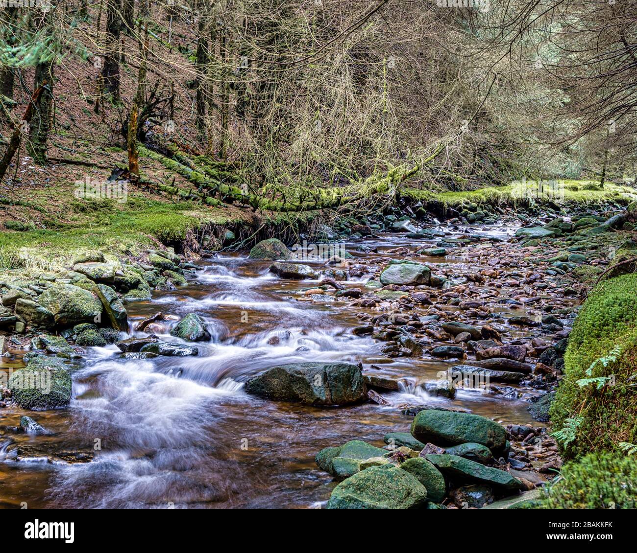 Grass trees river rocks hi-res stock photography and images - Alamy
