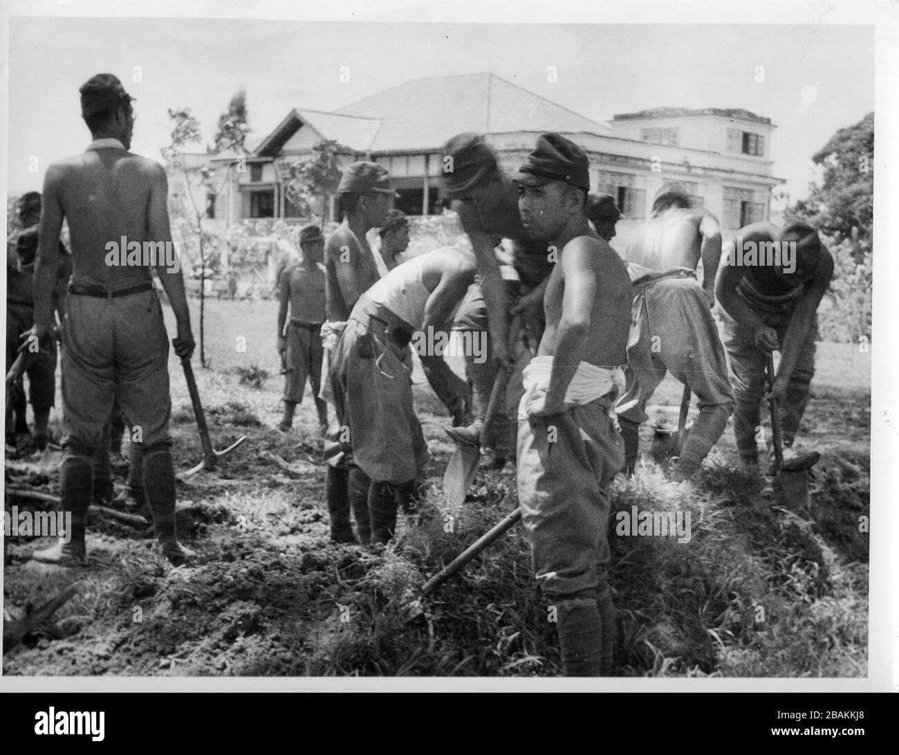 Japanese prisoners of war hi-res stock photography and images - Alamy