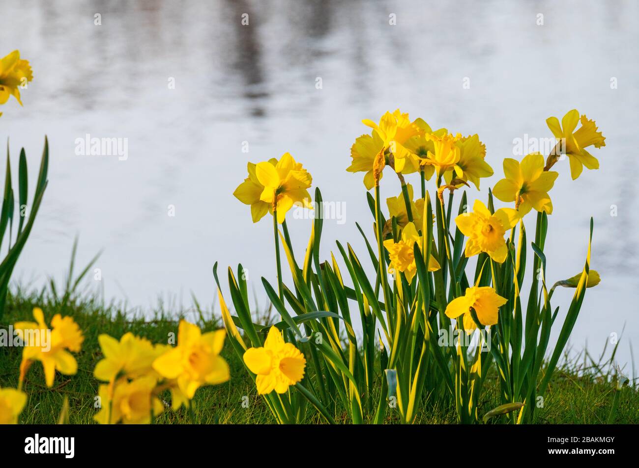 Easter bells hi-res stock photography and images - Alamy