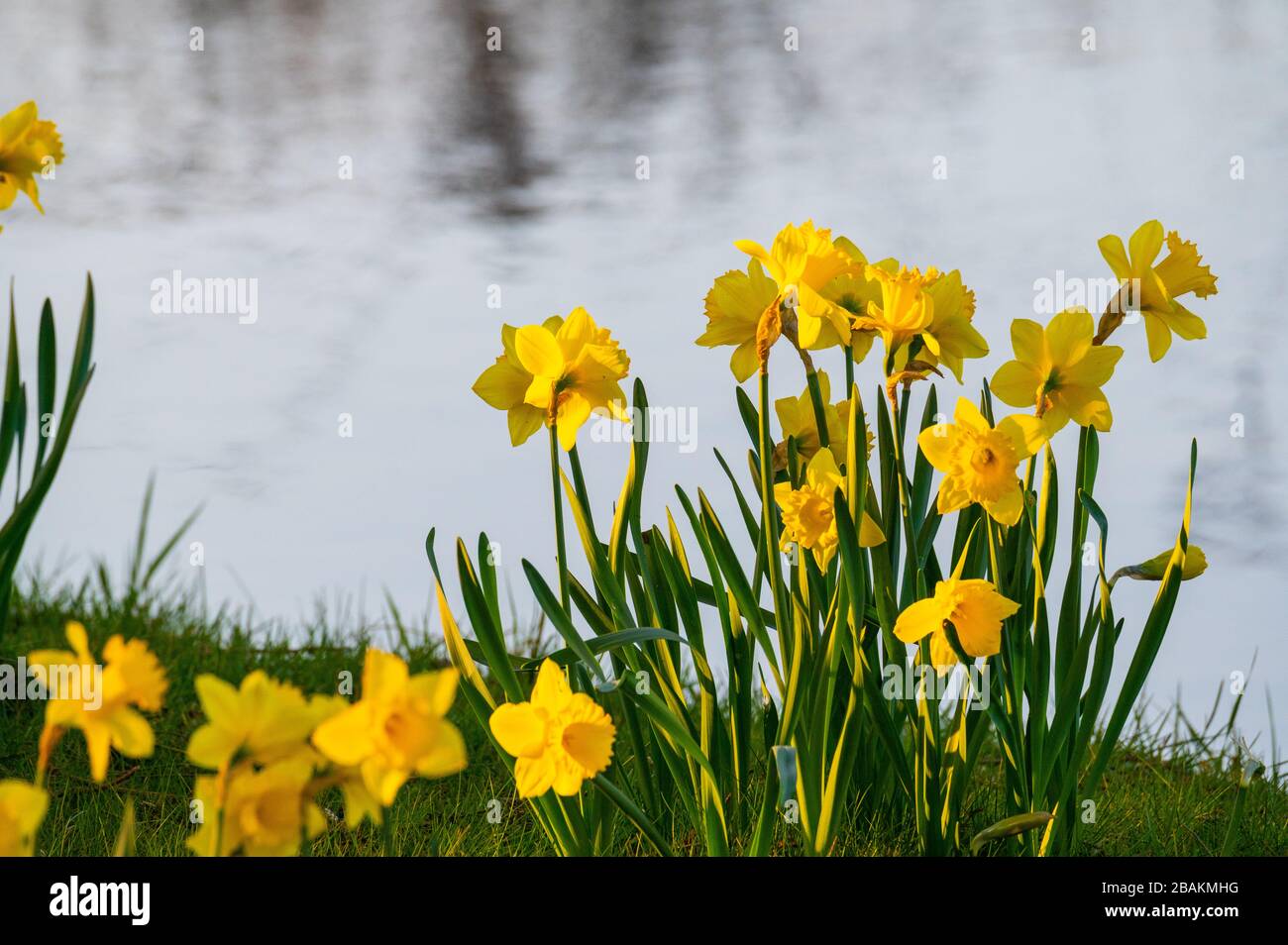 Easter bells hi-res stock photography and images - Alamy