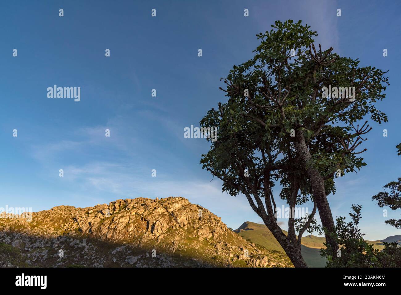 The rugged Chimanimani mountains in Zimbabwe's Eastern Highlands Stock ...
