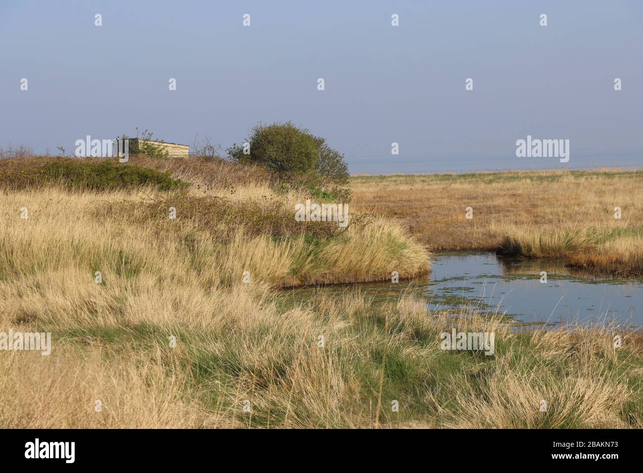 Hide land hi-res stock photography and images - Alamy