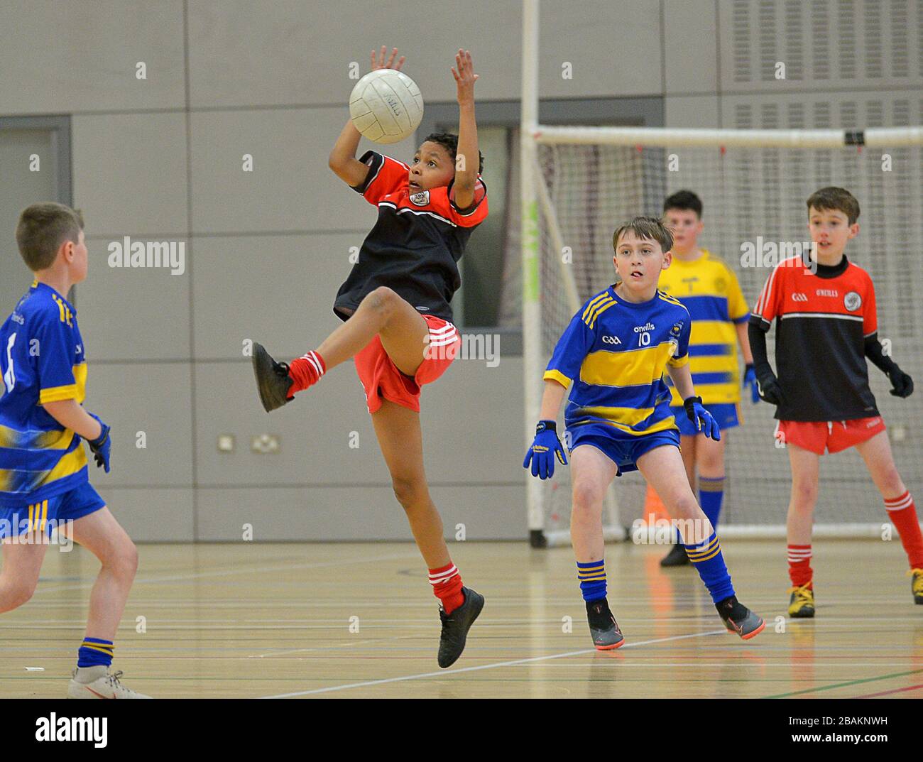 Primary School children take part in GAA indoor football Blitz in Derry ...