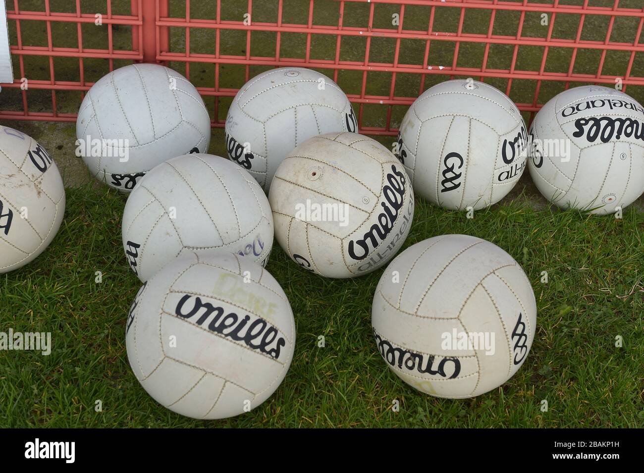 Gaelic Football Ball