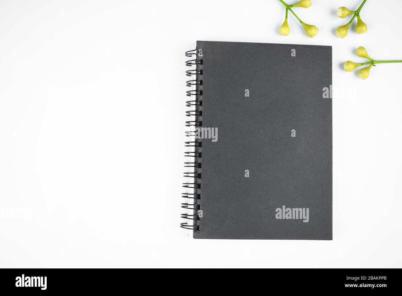 Learning tree book cover hi-res stock photography and images - Alamy