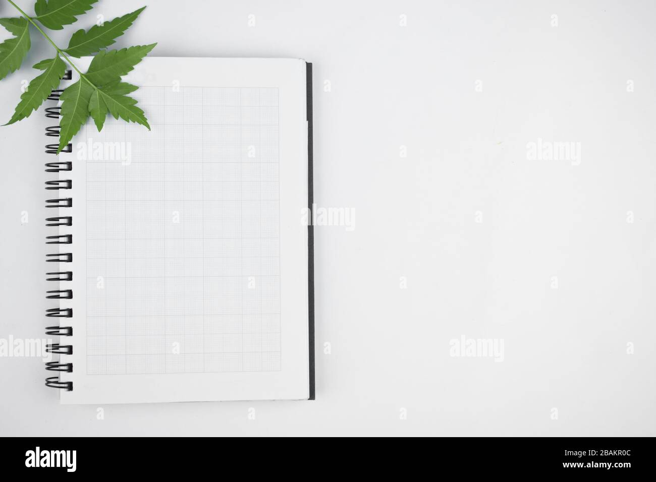 Top view of come green leaves on top of a open white paper diary before ...
