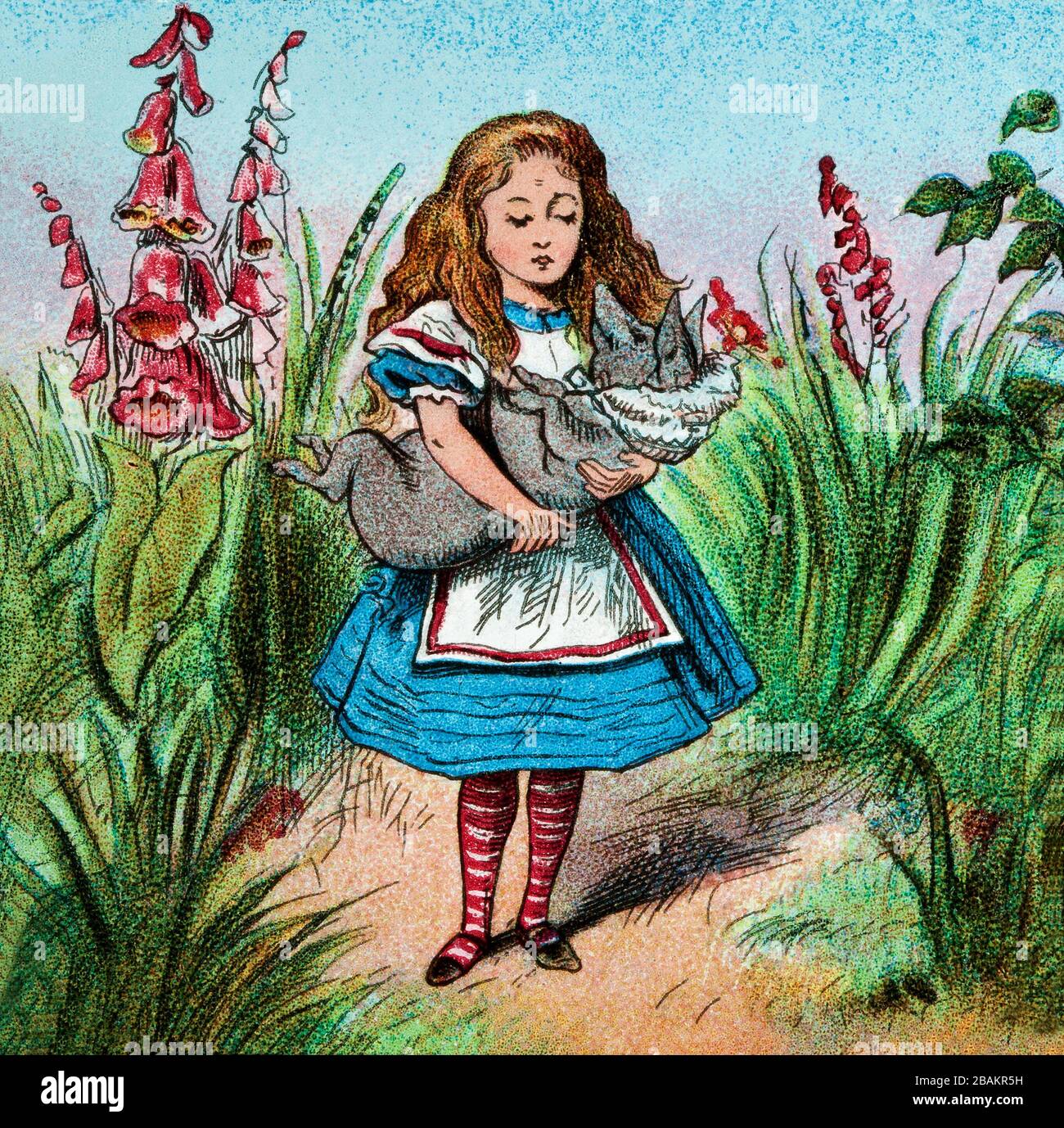 Alice in Wonderland, Lewis Carroll, The Lost Rhymes of Wonderland ...