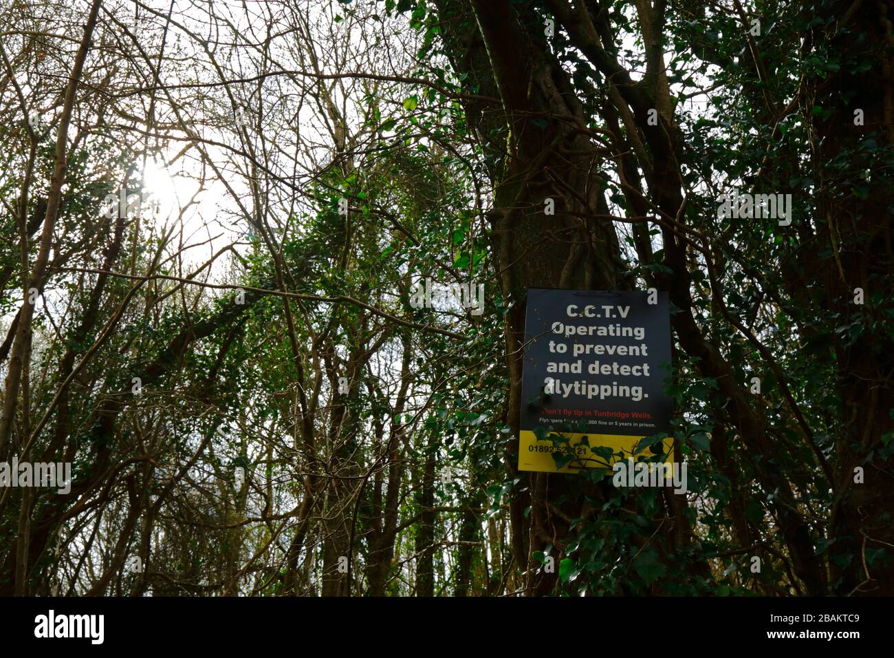 Cctv on the tree hi-res stock photography and images - Alamy