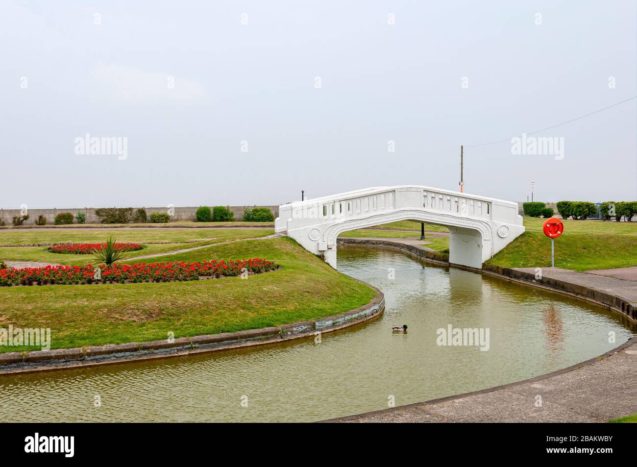 Flowers water gardens rockery hi-res stock photography and images - Alamy