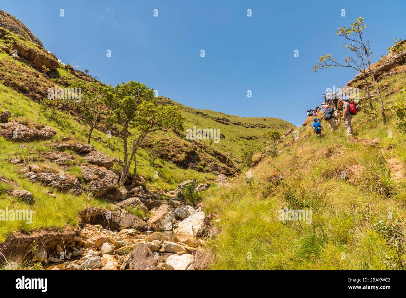 Chimanimani national park hi-res stock photography and images - Alamy