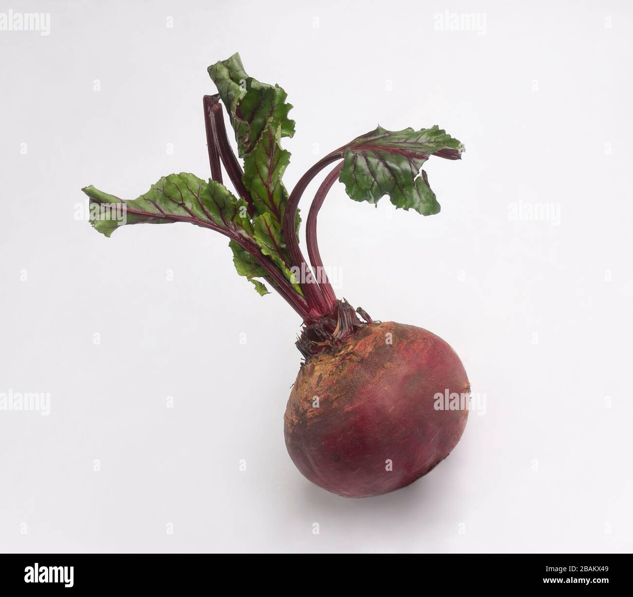 Fresh beetroot with leaves isolated on white background Stock Photo - Alamy