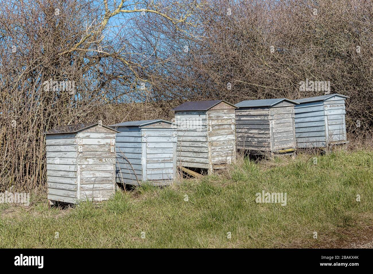 five old wornout beehives on a row in the springtime, Denmark, Mars 27 ...
