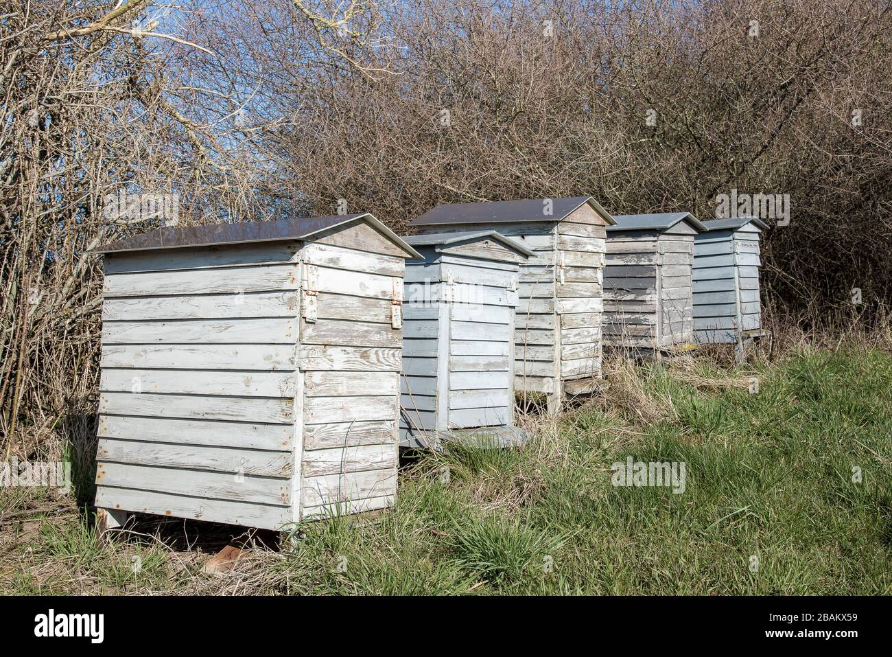 five old wornout beehives on a row in the springtime, Denmark, Mars 27 ...