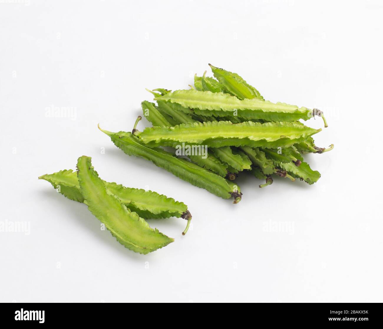bunch of winged bean, the tropical vegetable isolated on white ...