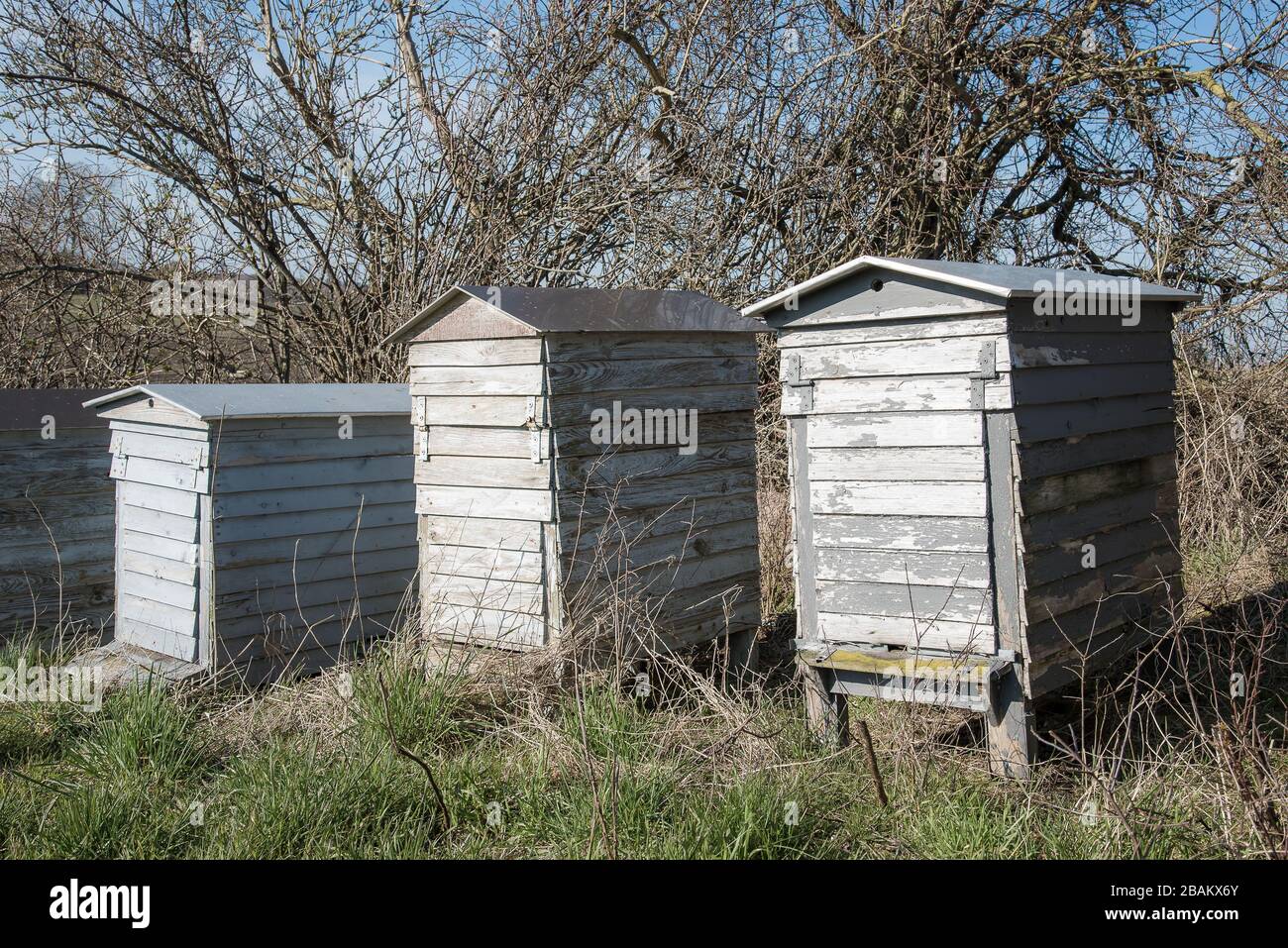 three old wornout beehives on a row in the first springtime sunshine ...