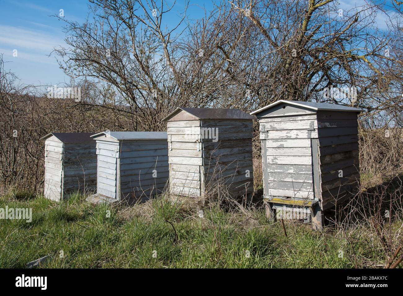 four old wornout beehives on a row in the springtime, Denmark, Mars 27 ...