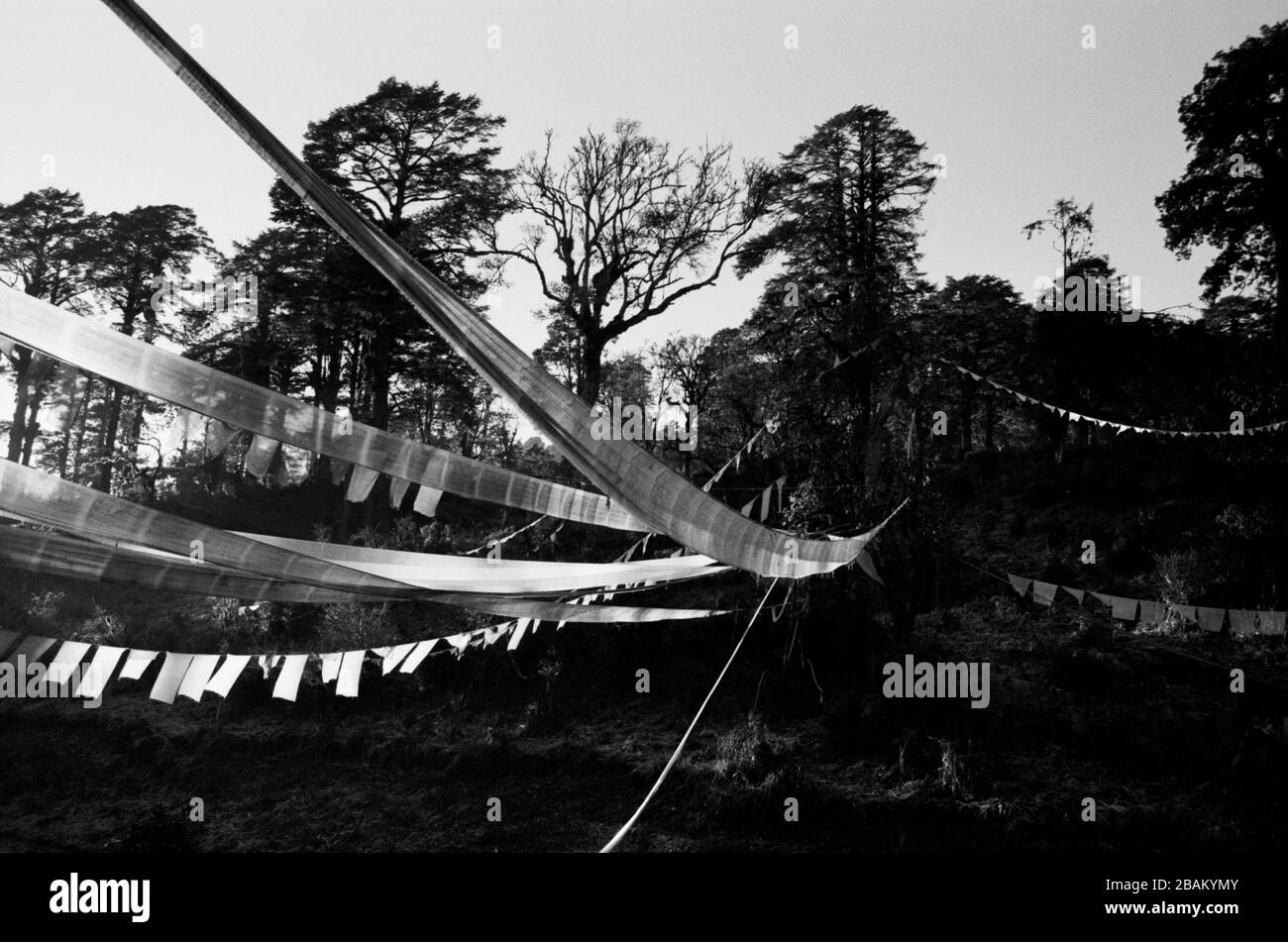 Prayer flags snake across a roadway at Dorch La pass in Bhutan Stock ...
