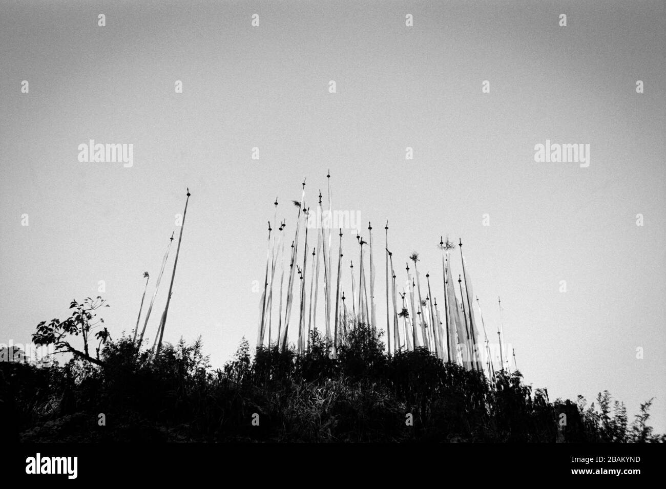 Prayer flags on poles at Dorch La Pass in Bhutan Stock Photo - Alamy