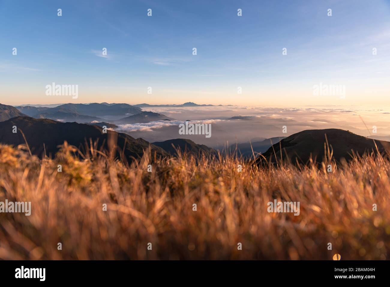 Scenic view of the sea of clouds at the summit of Mount Pulag National ...