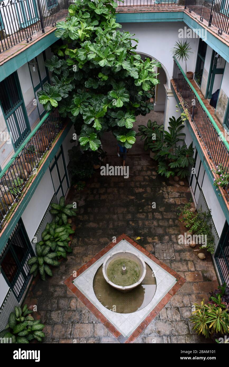house, internal garden, 2014, Cuba Stock Photo - Alamy