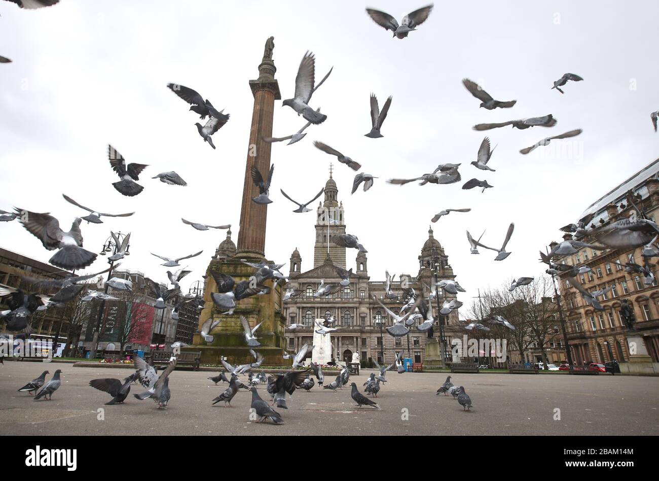 Pigeons fly in a quiet looking George Square in Glasgow as the UK ...