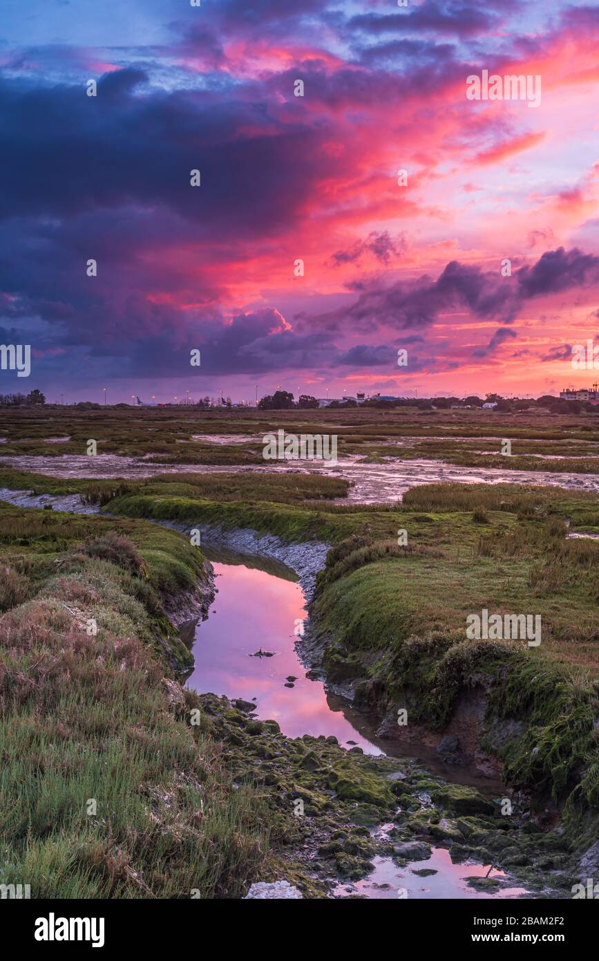 Ria formosa nature reserve in hi-res stock photography and images - Alamy