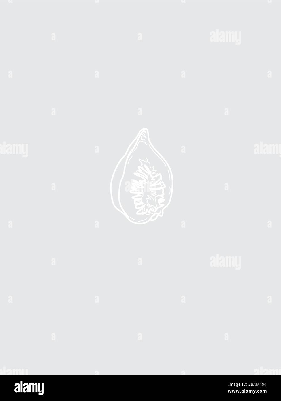 Modern Ficus Line Art White Vector Drawing on Pale Grey. Ficus carica ...