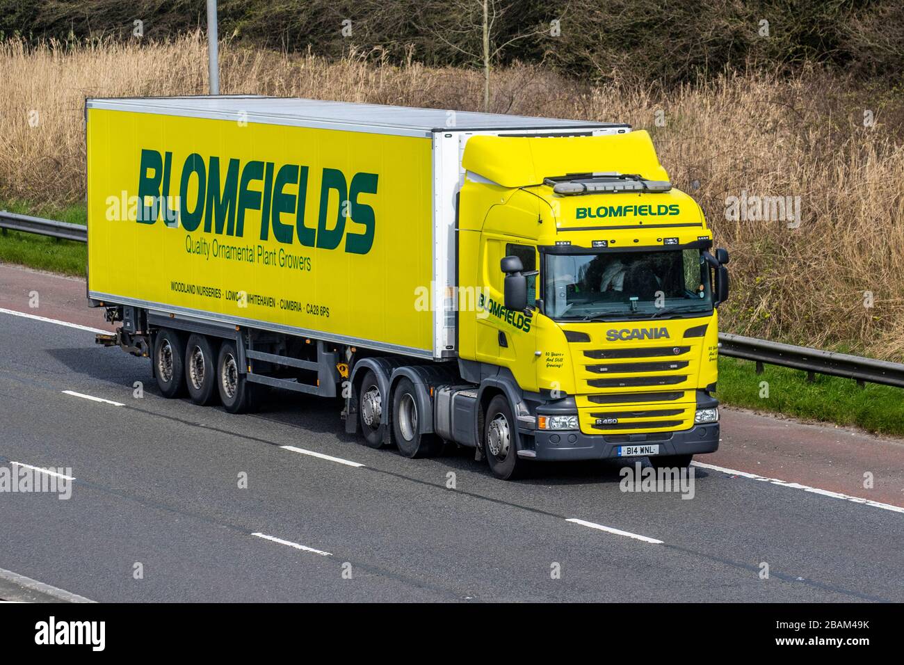 Blomfields Quality ornamental plant growers; HGV Haulage delivery ...
