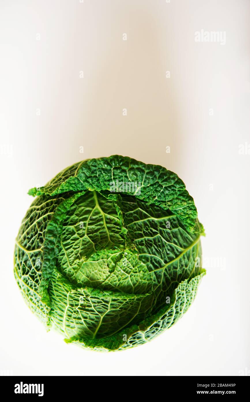 Single head of green fresh cabbage on white background important for ...