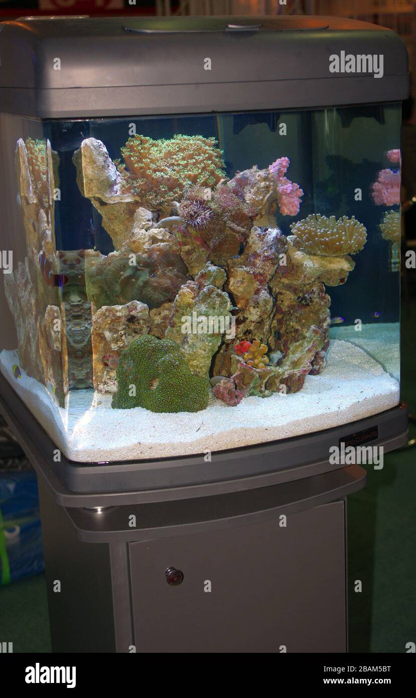 Coral reef laboratory hi-res stock photography and images - Alamy