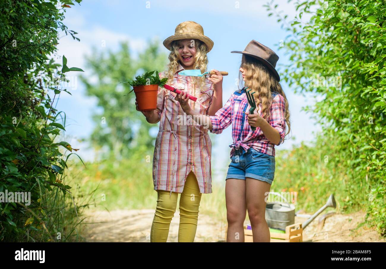 Eco farming concept. Girls with gardening tools. Sisters helping at ...