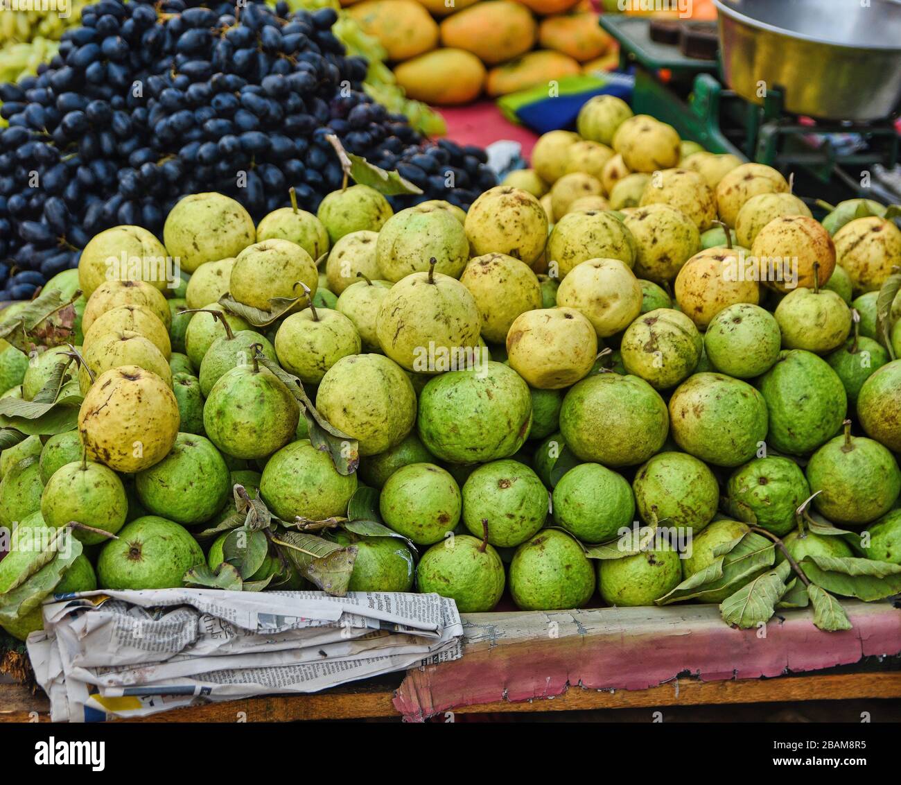 Fresh green and yellow guavas at the Mumbai food market Stock Photo - Alamy