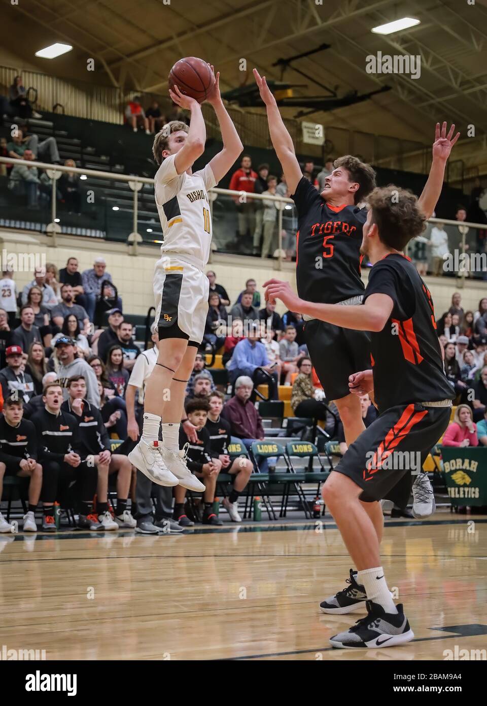 Basketball Action with Idaho Falls vs Bishop Kelly High School in Boise ...