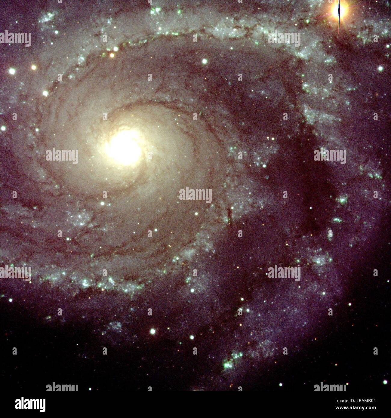 Antlia 2 hi-res stock photography and images - Alamy