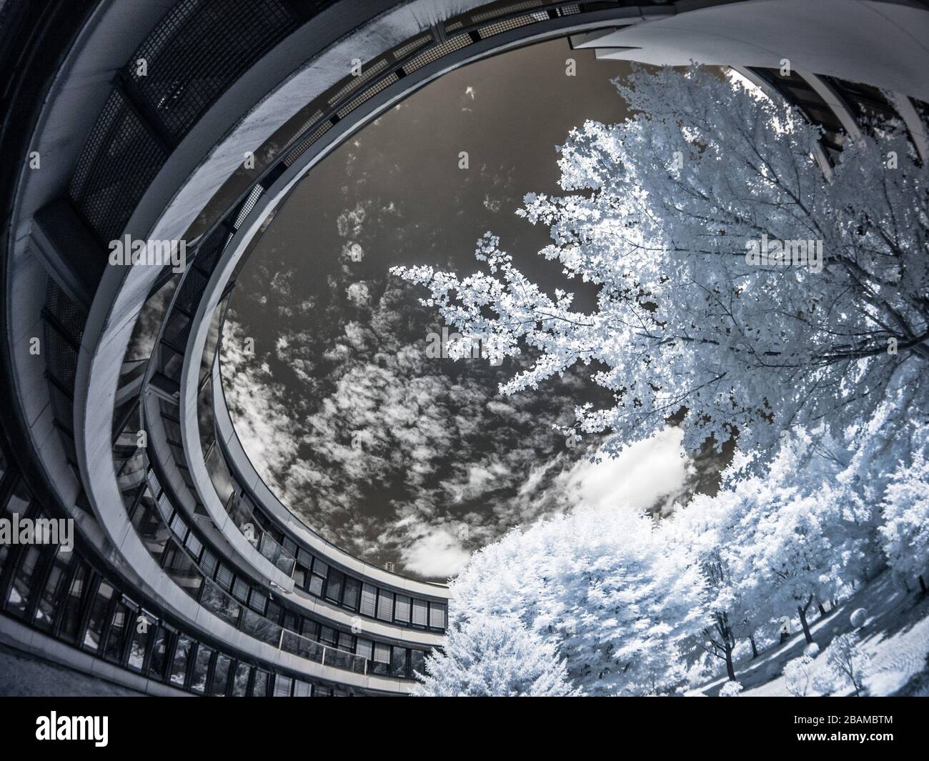 Infrared and visible image tree hi-res stock photography and images - Alamy