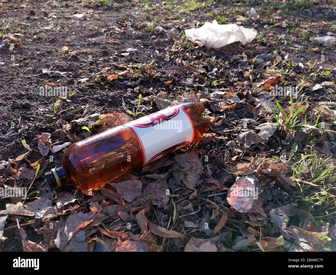 Close up dumped plastic beer bottle on the ground Stock Photo - Alamy