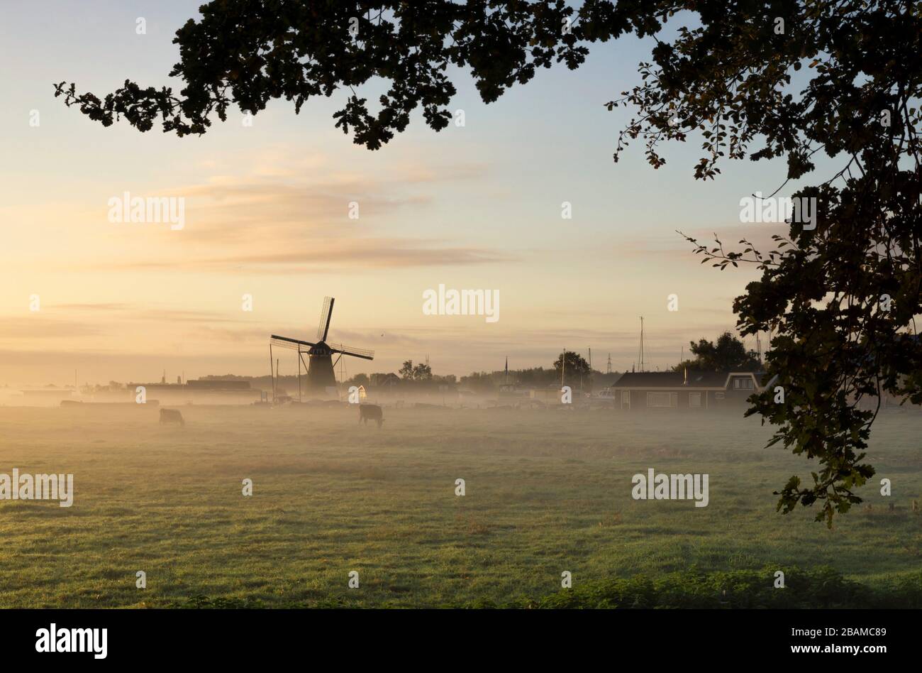 Warmond hi-res stock photography and images - Alamy