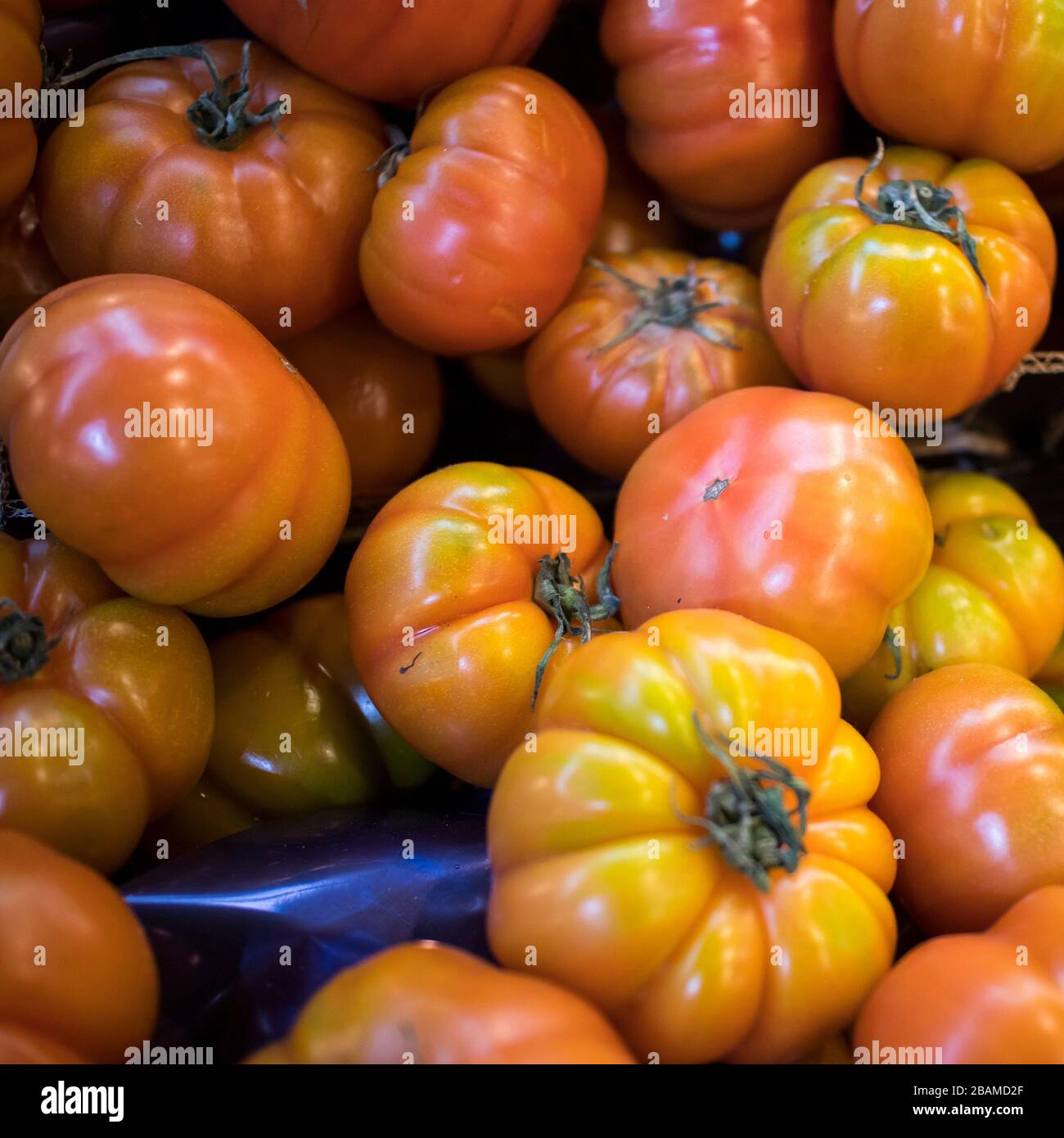 Large cow heart tomatoes for sale on a farmers market stall Stock Photo ...