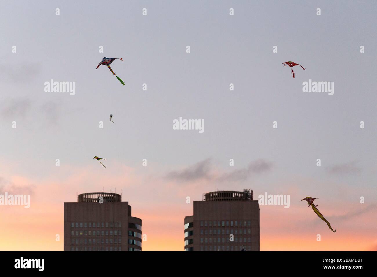Kites flying above two high-rise buildings at Galle Face Green in ...
