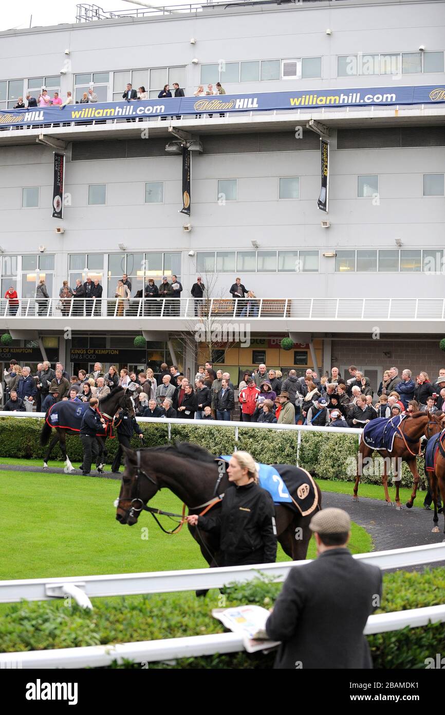 Branding stand hi-res stock photography and images - Alamy