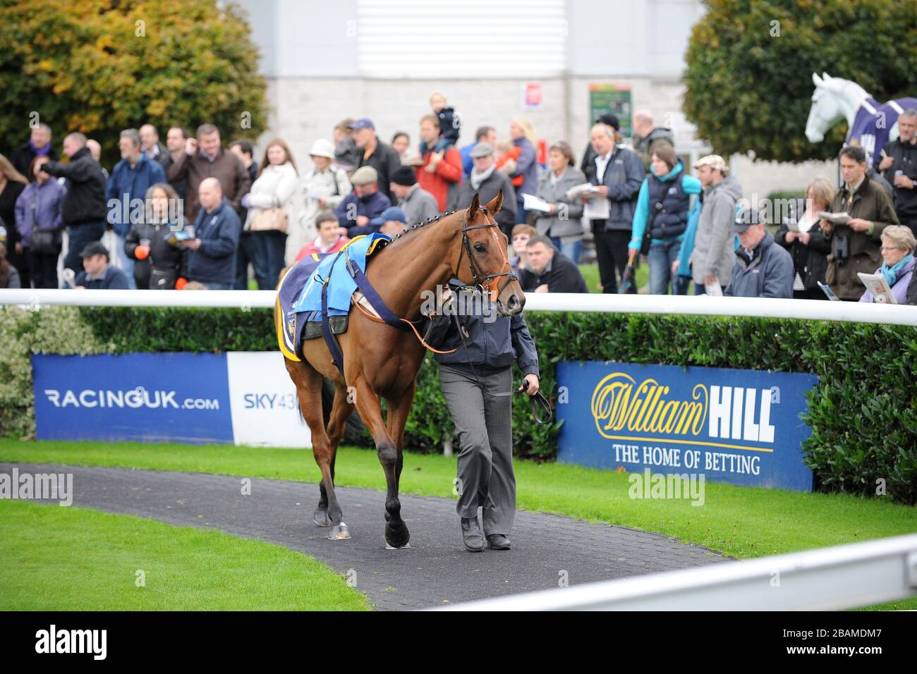 Racing horses parade ring hi-res stock photography and images - Alamy