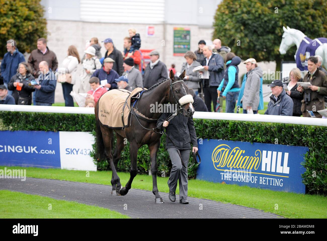 Racing horses parade ring hi-res stock photography and images - Alamy