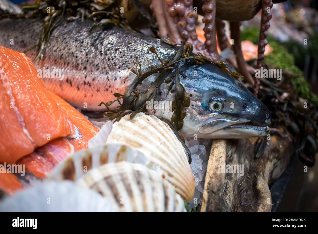 Types of seafood hi-res stock photography and images - Alamy