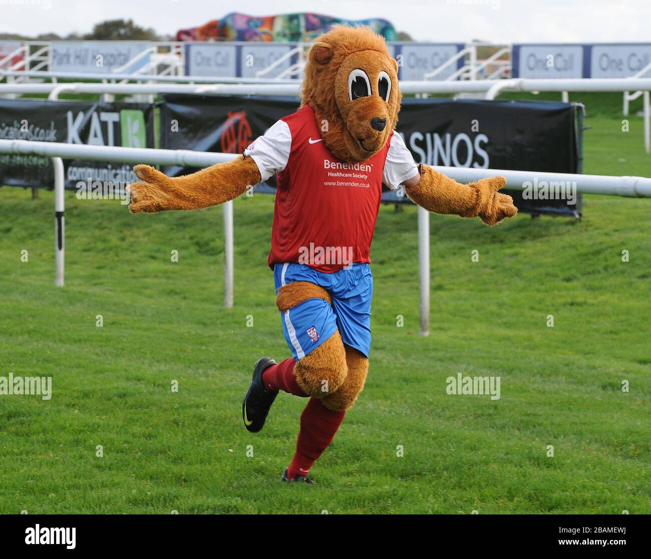 Football mascot lion hi-res stock photography and images - Alamy