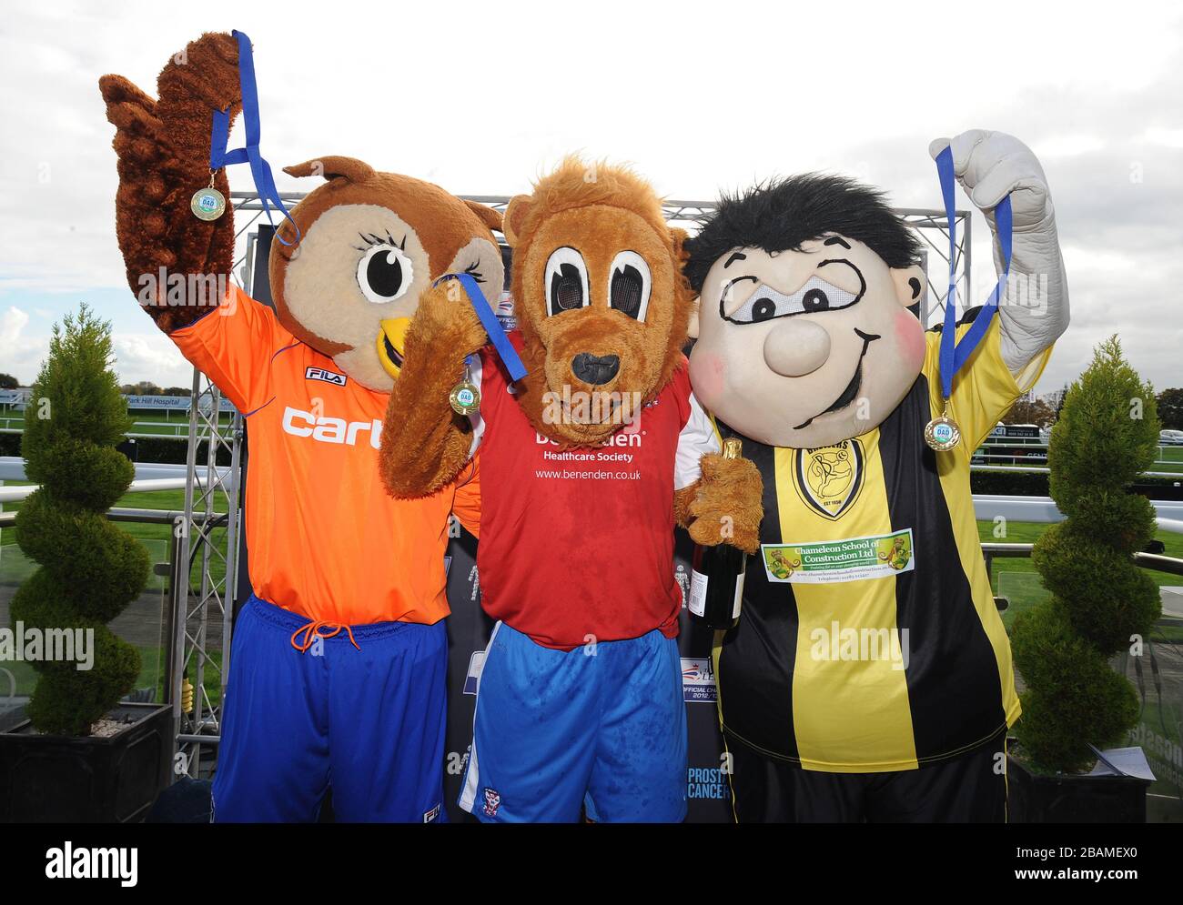 York city fcs yorkie the lion hi-res stock photography and images - Alamy